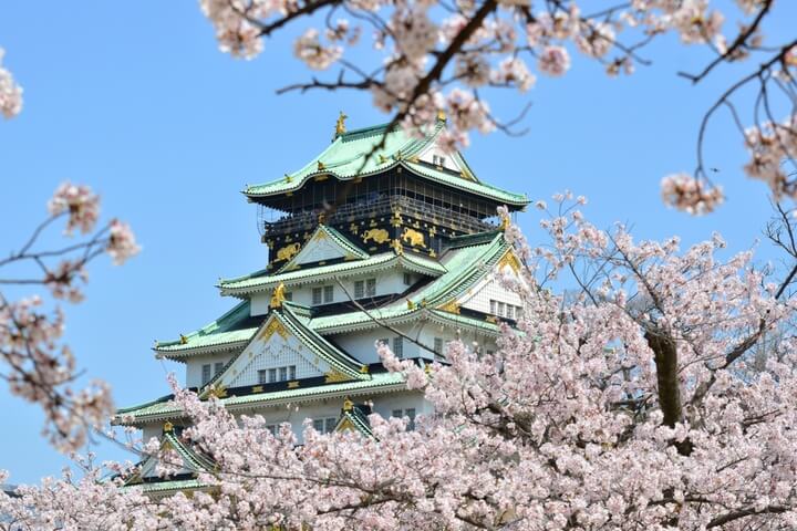 Best Sakura Cherry Blossom Spots in Osaka 2025 | Osaka Metro NiNE