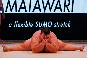The Sumo Hall Hirakuza Osaka, Osaka's Entertainment | Osaka Metro NiNE