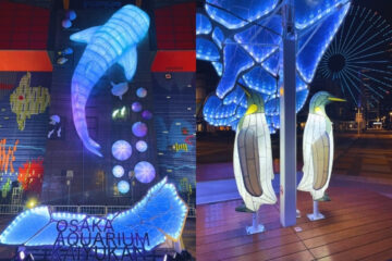 【2025 Update】Osaka’s Top 9 Winter Illuminations | Osaka Metro NiNE